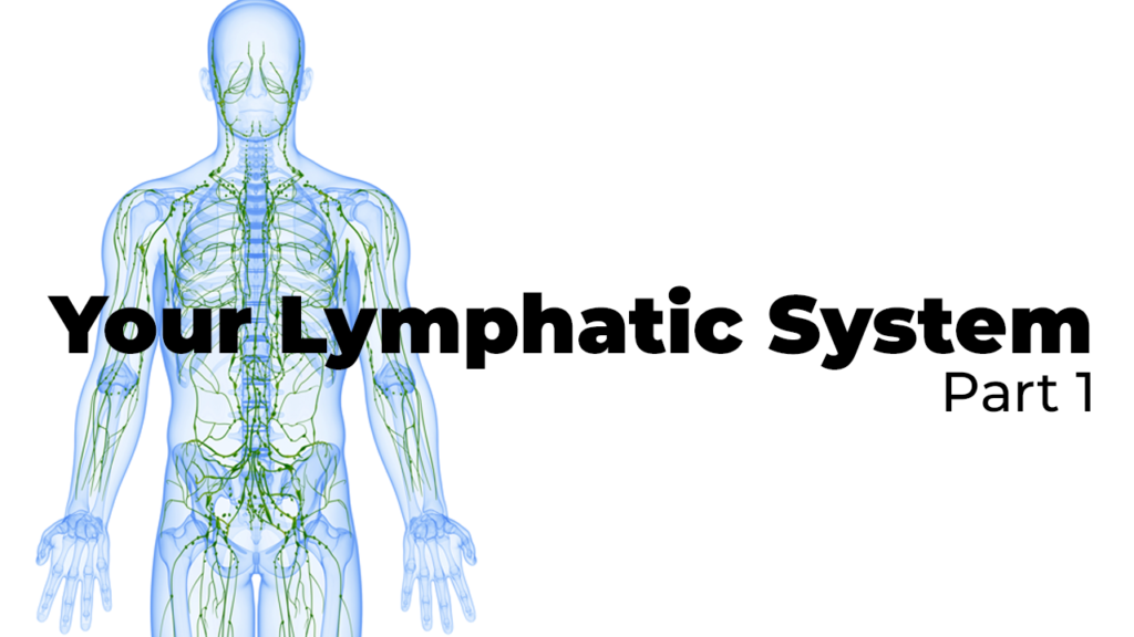 The Lymphatic System - Our body’s detox system